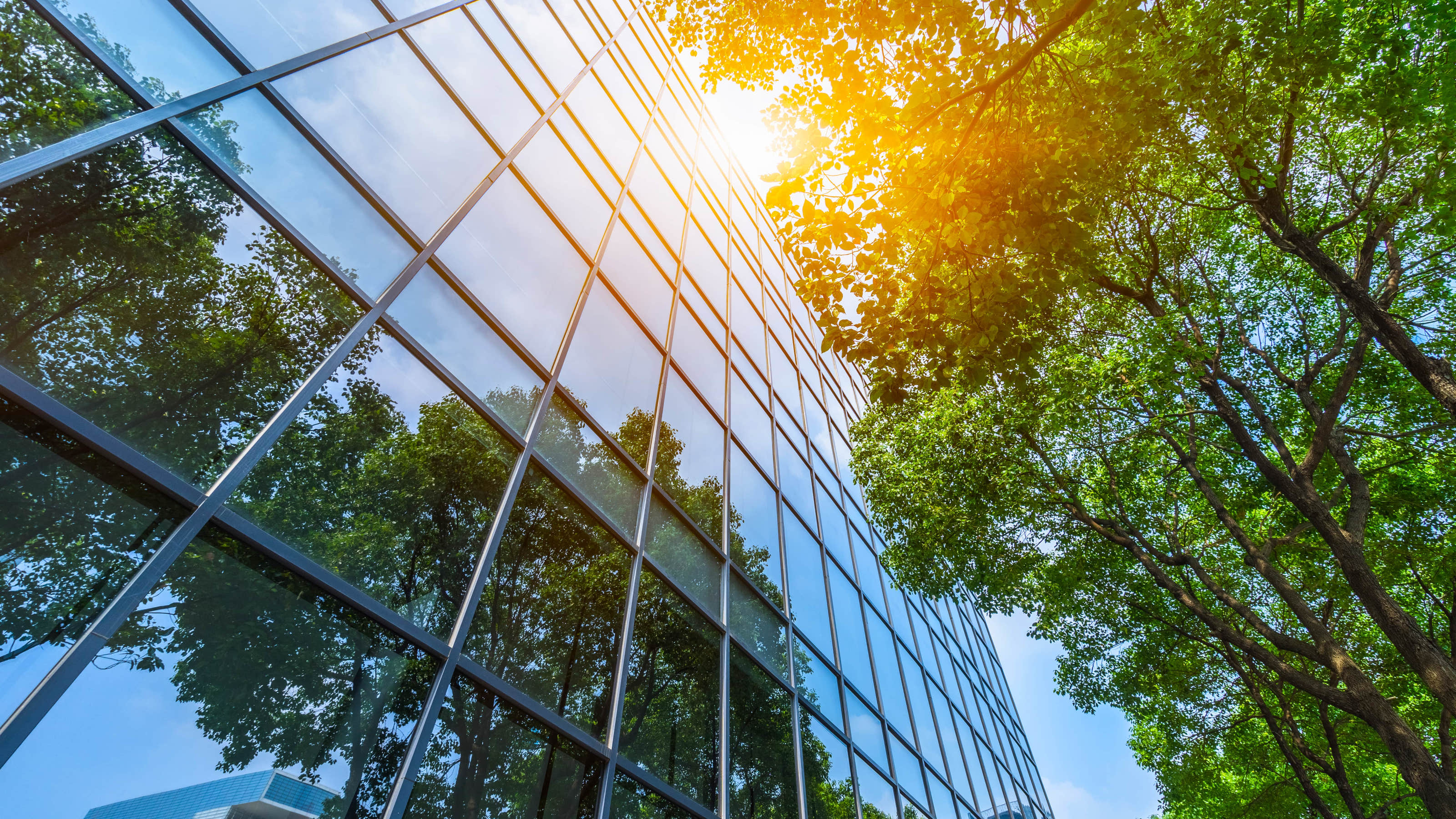 Anforderungen des GEG erfüllen und Förderungen sichern | Bosch Energy ...